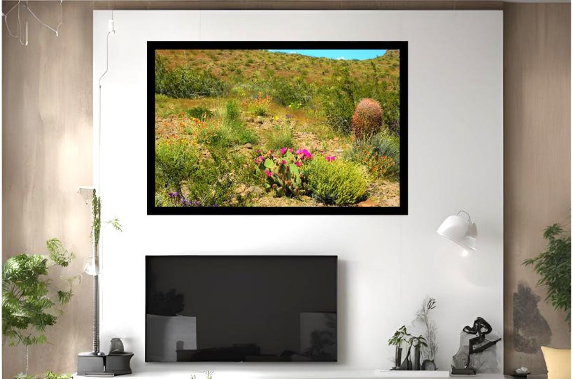 Spring Desert Scene - Barrel Cactus, Pink Prickly Pear Cactus, and ...