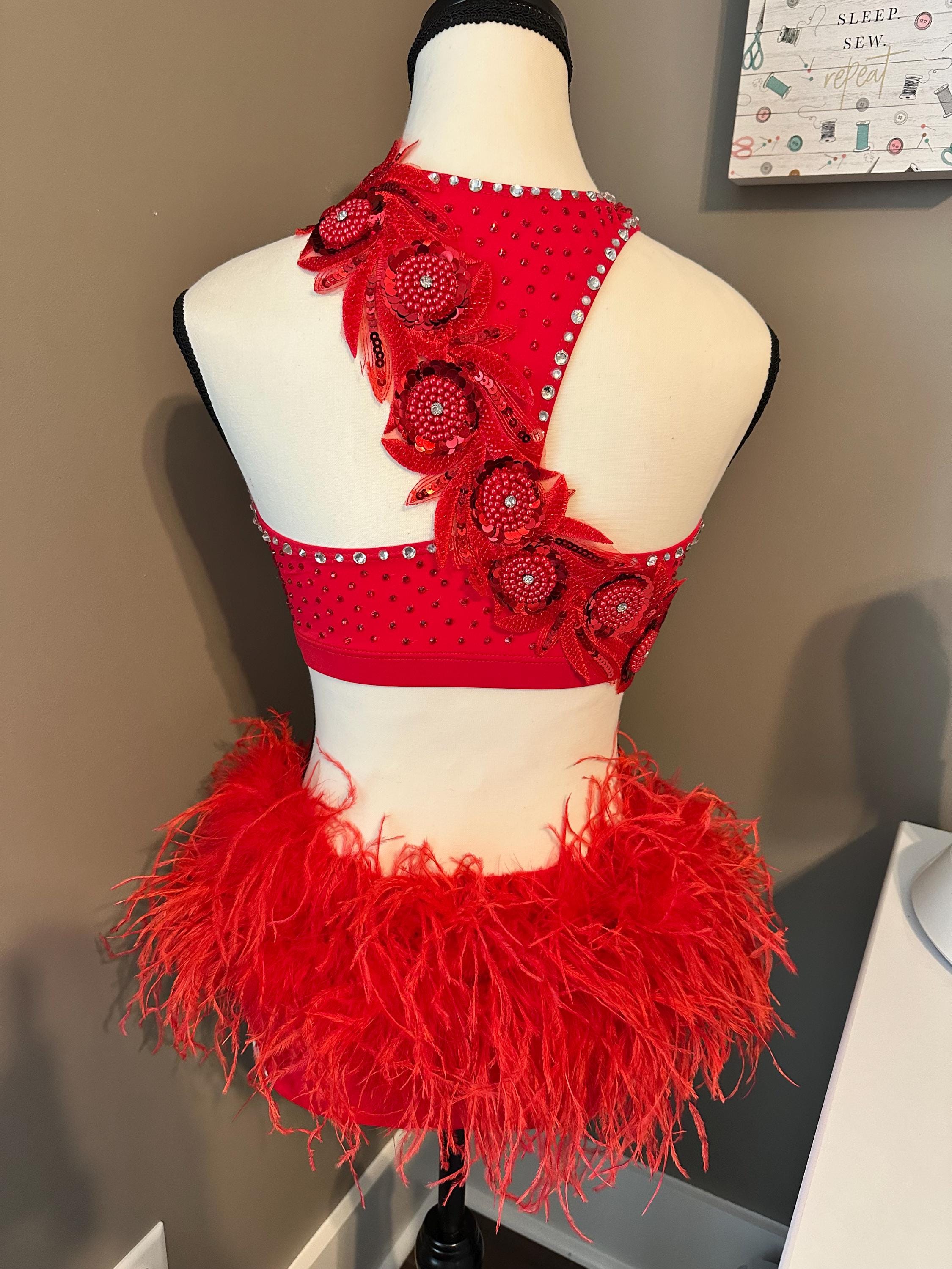 Custom Dance Competition Costume With Feathers and Sequins - Etsy