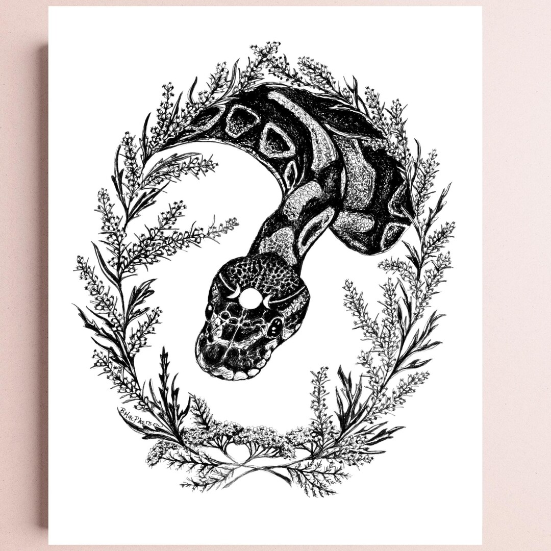 Transformation - Snake and Mugwort Art Print - Etsy
