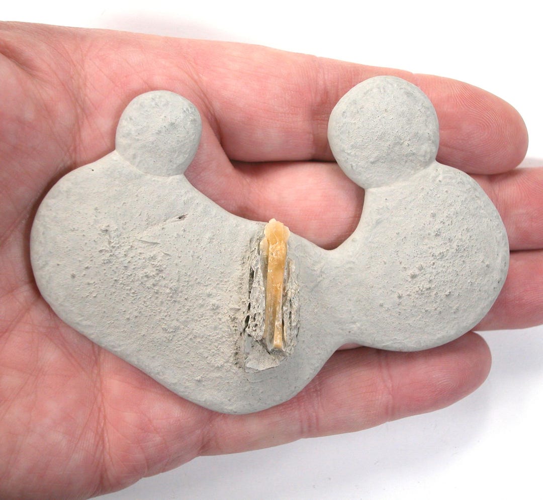 DVH Fairy Stone Concretion Nativity Fossil Grass Jesus 95x69x18mm (5759 ...