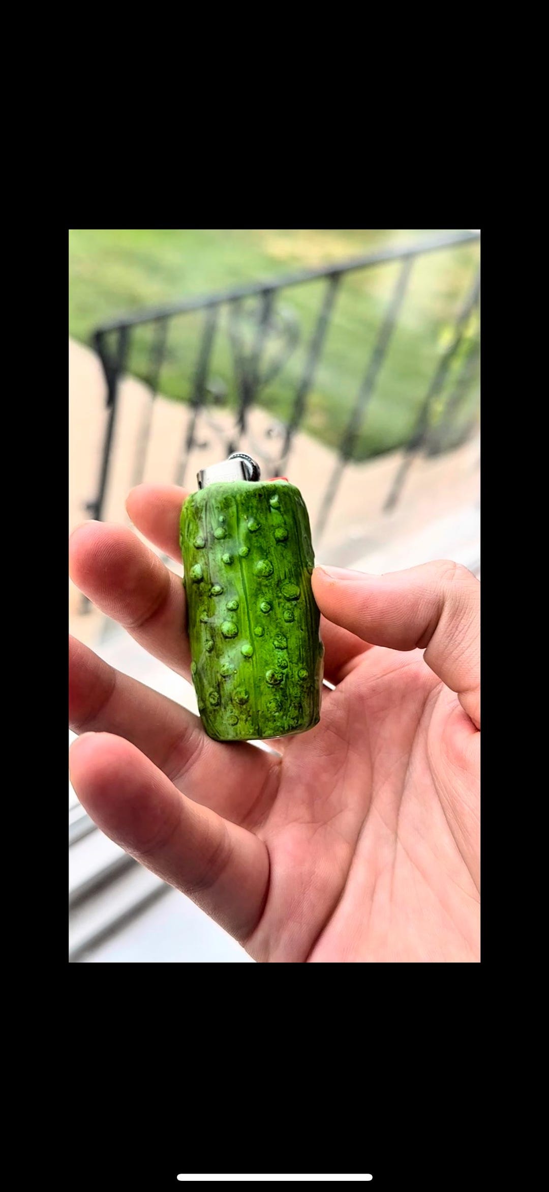 Pickle Lighter Cover – Cute BIC Sleeve– Art – Pickle - Realistic Art ...