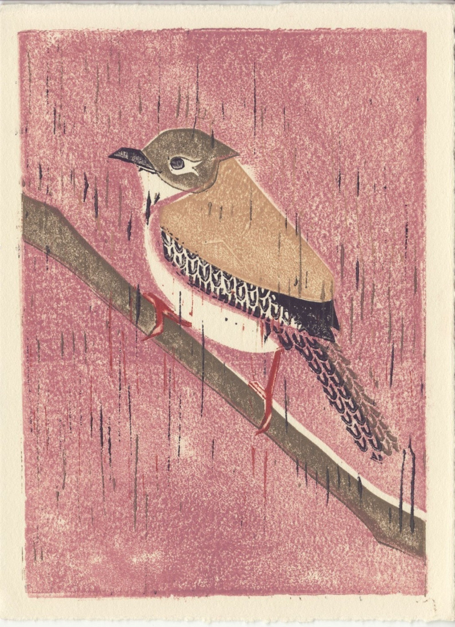 HOUSE WREN Original Hand-pulled Linocut Illustration Art - Etsy