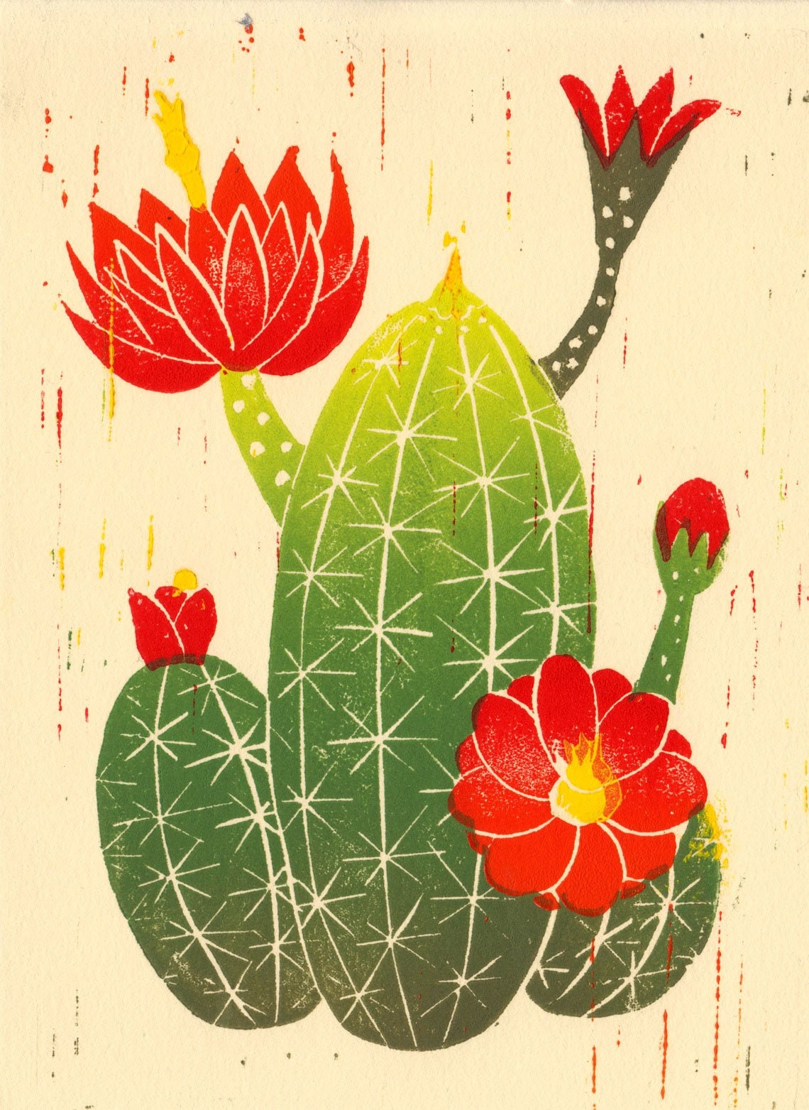 CACTUS FLOWERS Art Claret Cup Plant Original Illustration - Etsy
