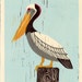 PELICAN - Original Linocut Hand Pulled Print Art Illustration, Summer ...