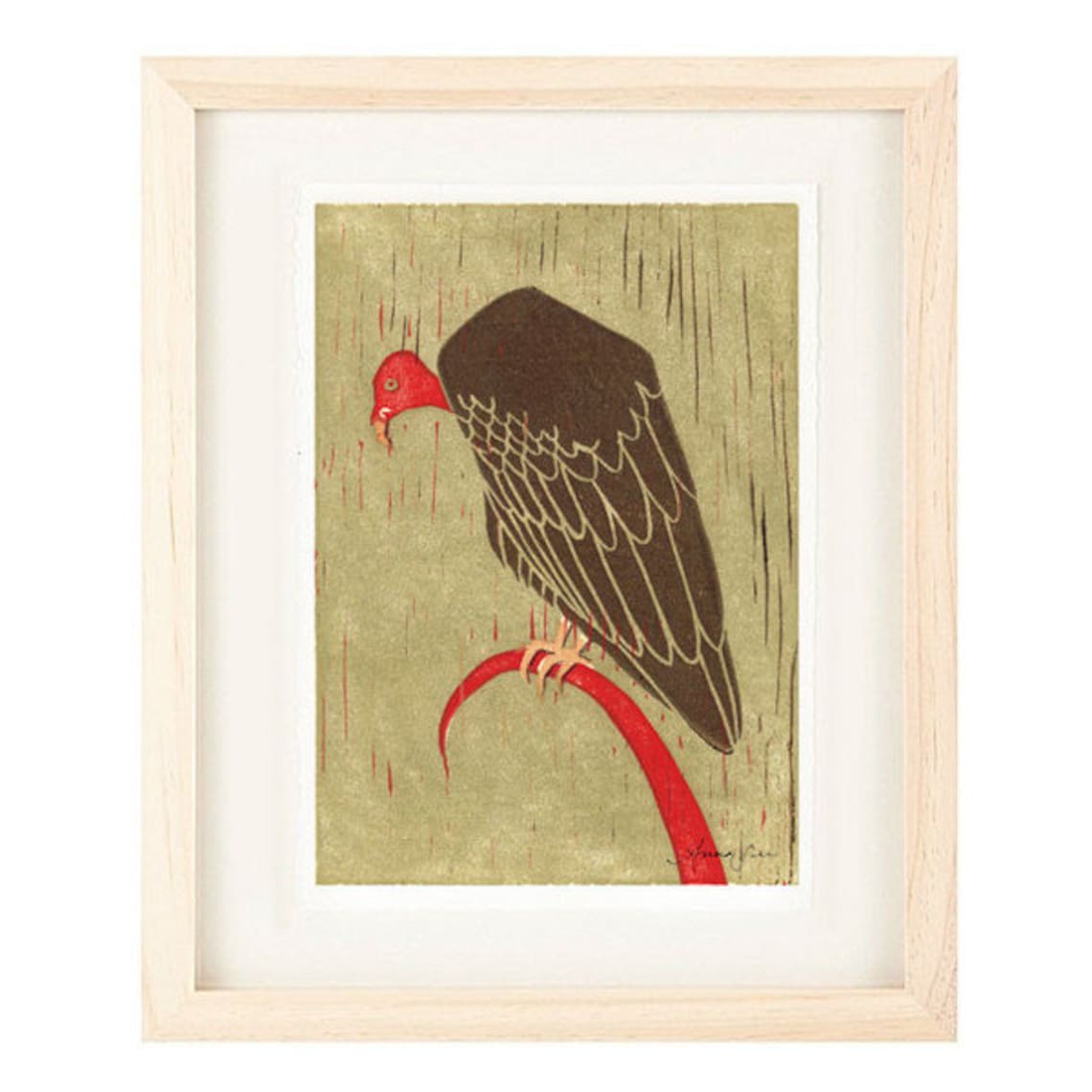 TURKEY VULTURE Poster Size Reproduction Art Print: 8 X 10 9 X - Etsy