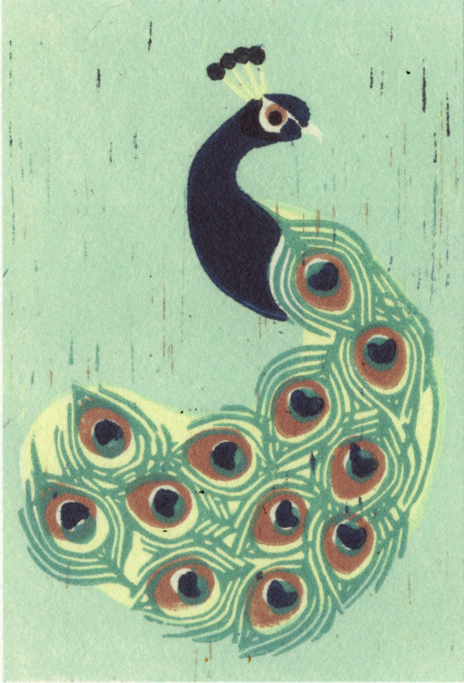 INDIAN PEACOCK Linocut Reproduction Art Print: 4 X 6, 5 X 7 - Etsy