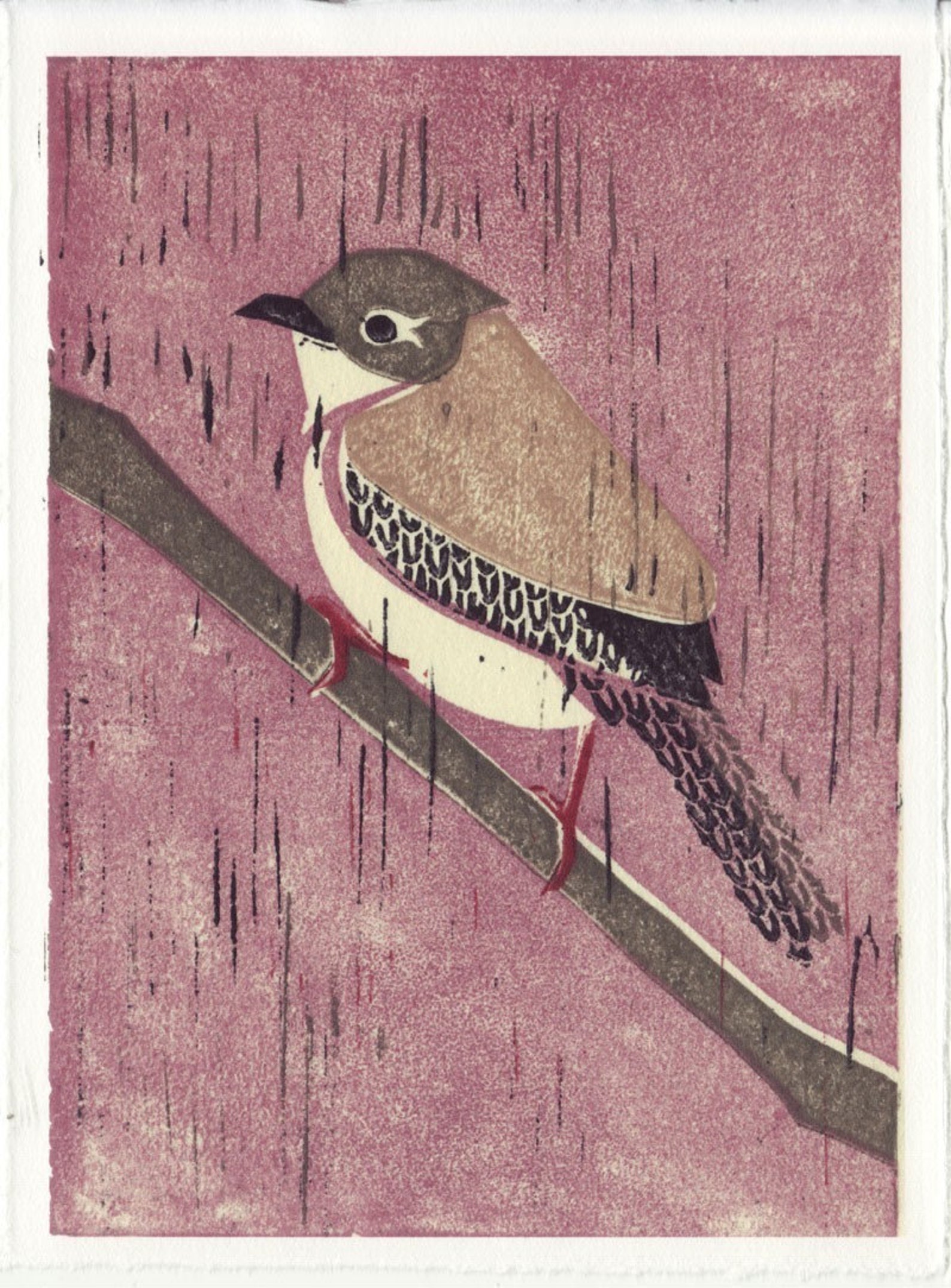 HOUSE WREN Pink Poster Size Linocut Reproduction Art Print: 8 X 10, 9 X ...