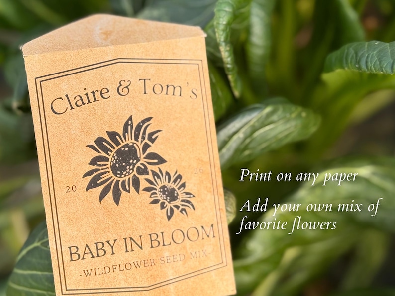 Wildflower Seed Packet Baby Shower Favors: Editable Canva Template ...