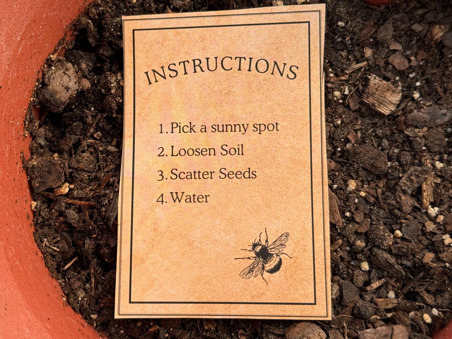 Baby to Bee Printable Wildflower Seed Packet Canva Template Baby Shower ...