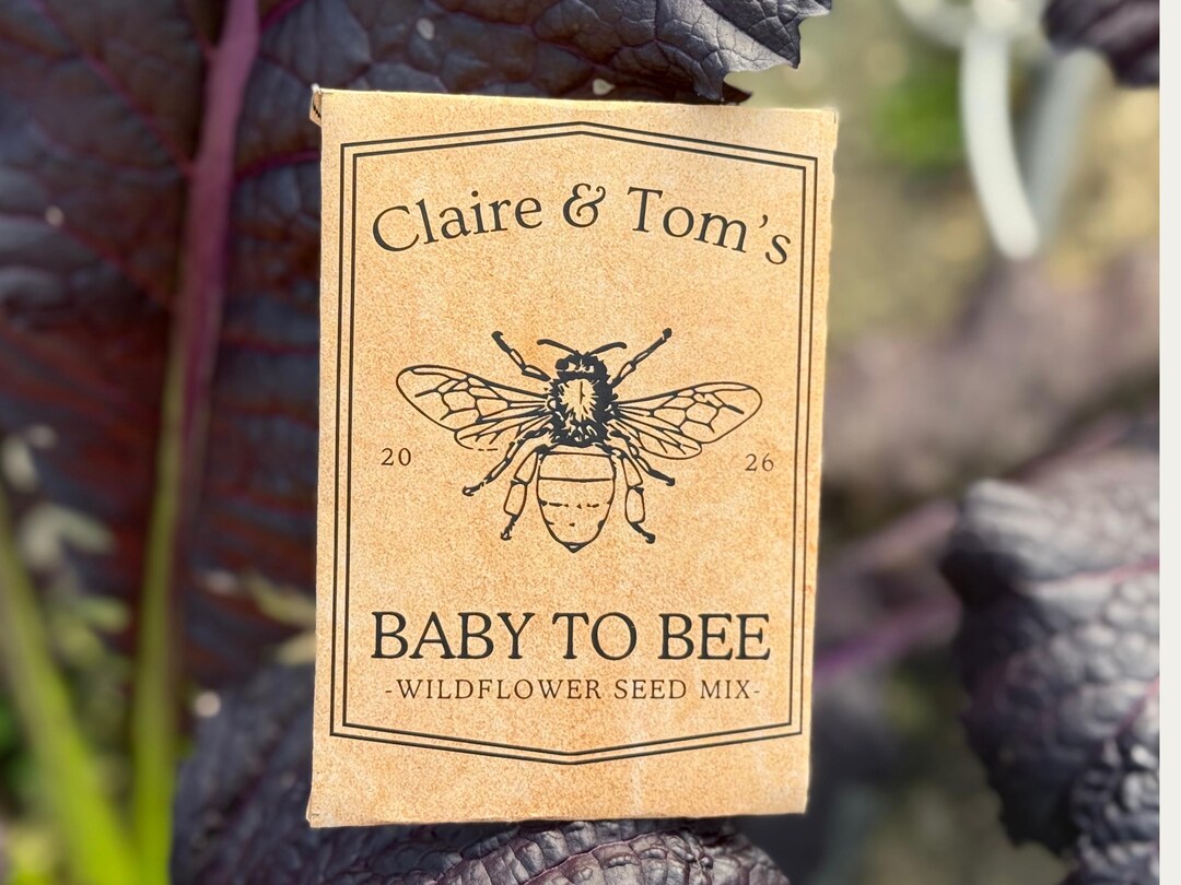 Bee Baby Shower Seed Packet Template: Wildflower Favor (digital ...