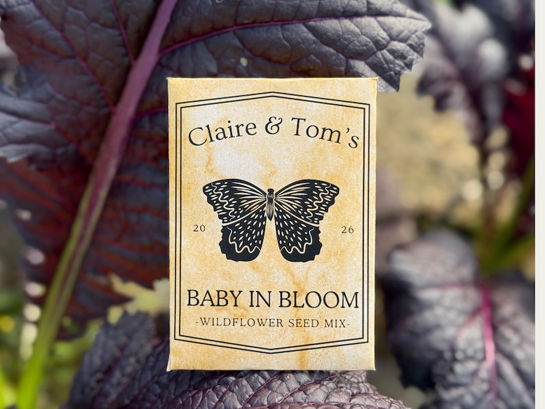Wildflower Seed Packet Baby Shower Favors: Editable Canva Template ...