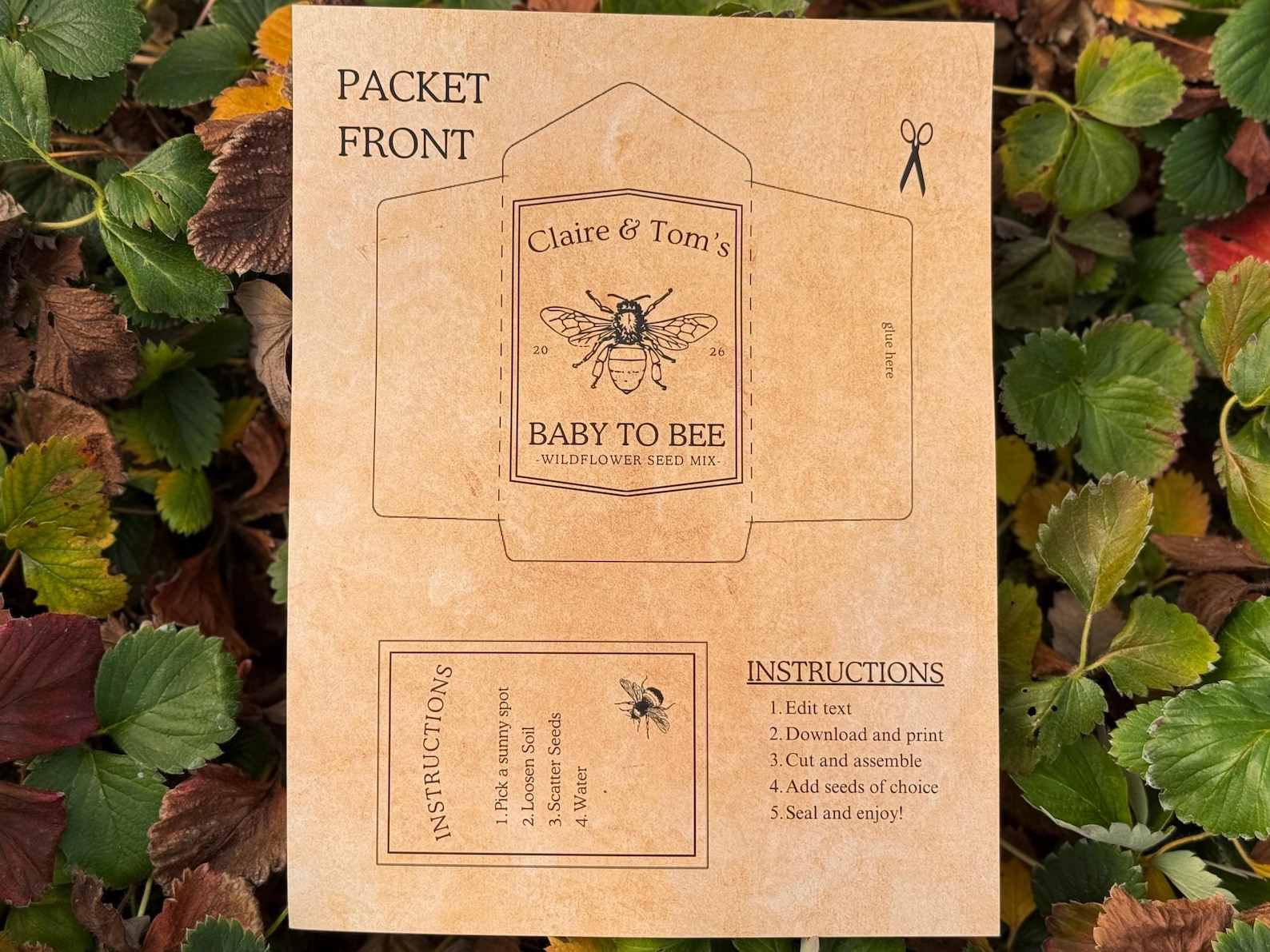 Baby to Bee Printable Wildflower Seed Packet Canva Template Baby Shower ...