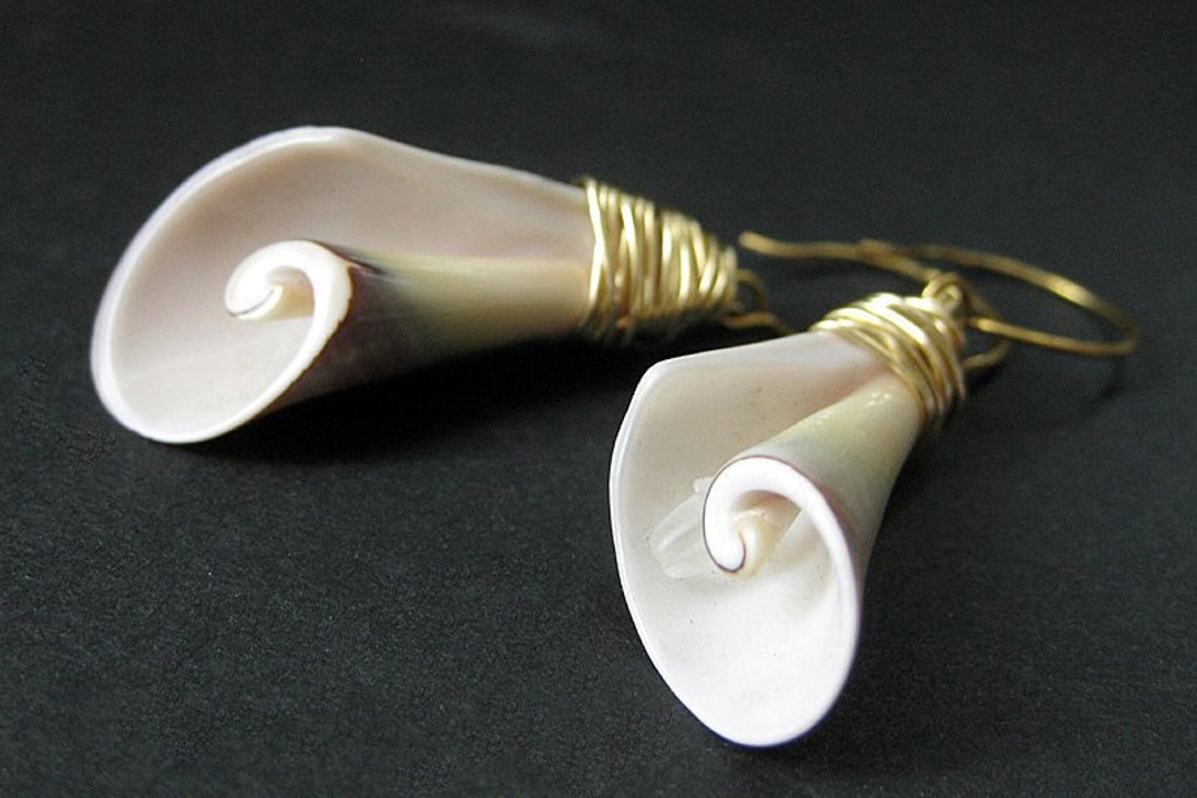 Gold Wire Wrapped Earrings. Spiral Seashell Earrings. Shell Earrings in ...
