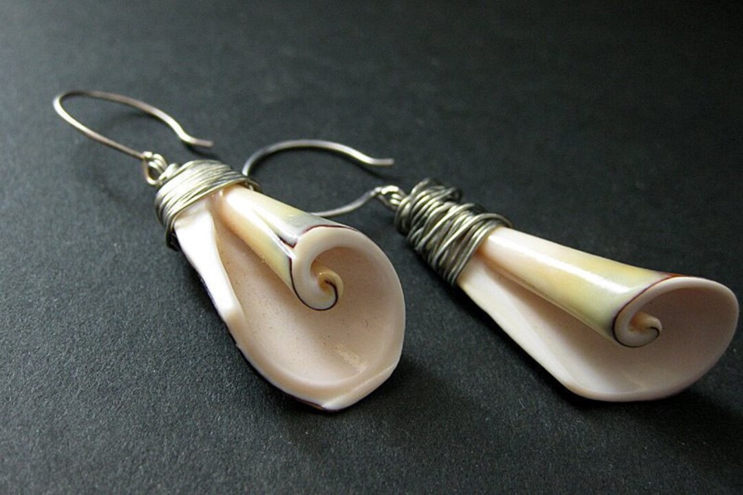 Silver Wire Wrapped Spiral Seashell Earrings. Shell Earrings in Silver ...