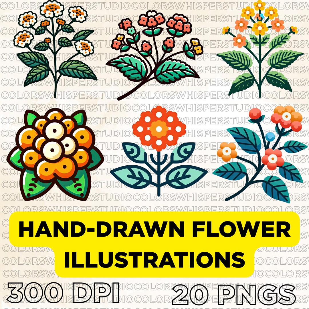 Floral PNG Clipart Bundle: 20 Hand-drawn Flower Illustrations (digital ...