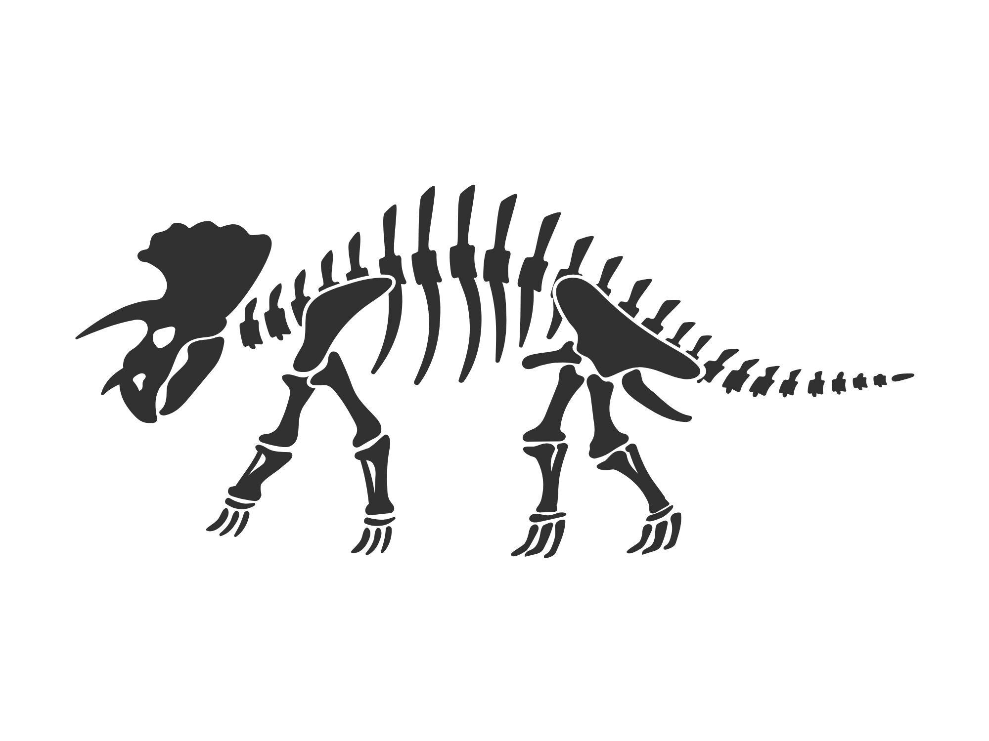 Animal Skeleton SVG Bundle,high Quality Animal Skeleton SVG Bundle ...