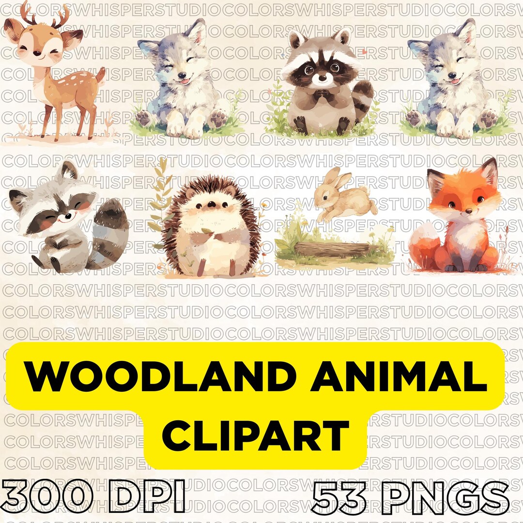 Woodland Animal Clipart Bundle PNG | Cute Forest Animals Digital ...