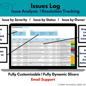 Risk Assessment, Risk Log, Issue Log, Project Management, RAID Log, PMO ...