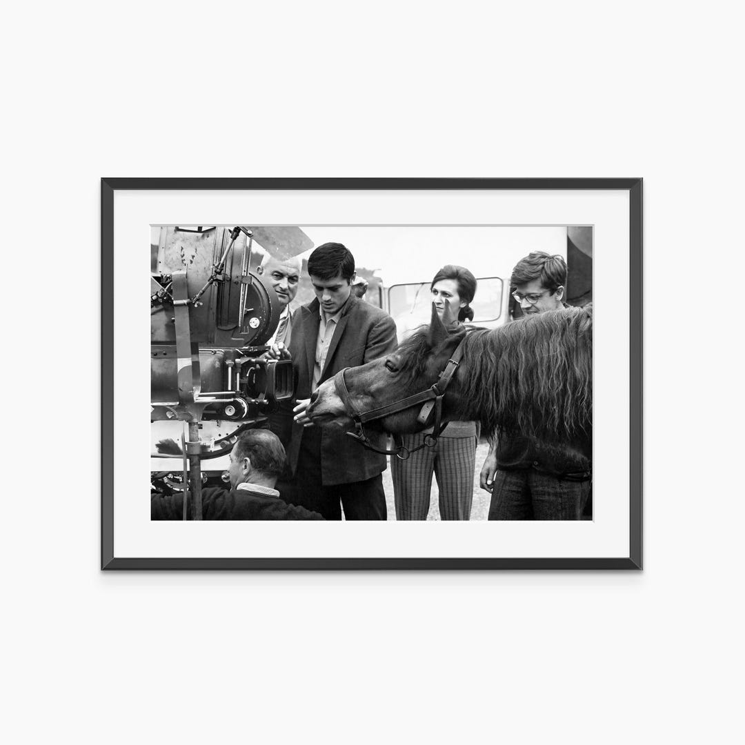 Alain Delon, Photography Prints, Vintage Poster, Horse Print, Retro ...