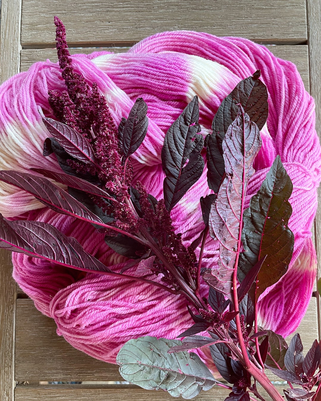 Hopi Red Dye Amaranth Seeds, Amaranthus, Plant for Dyeing, Pink Dye ...