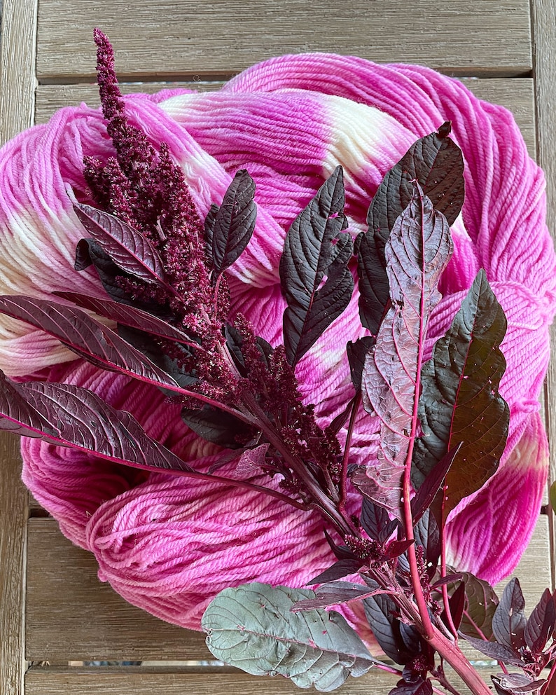Hopi Red Dye Amaranth Seeds Amaranthus Plant for Dyeing - Etsy