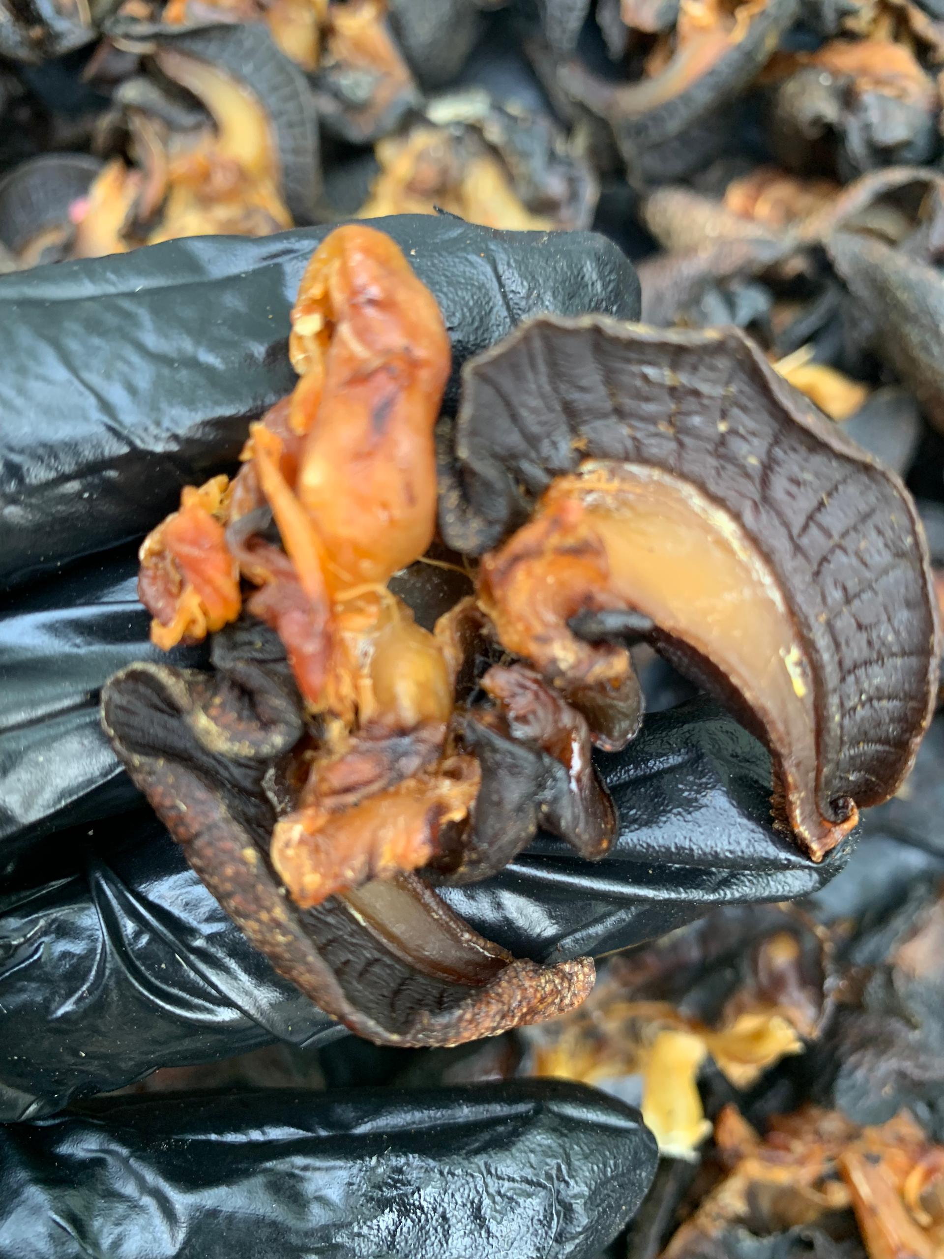 Oven Dried Snail Organic Nigerian BUSH Snails Variations - Small Chops ...
