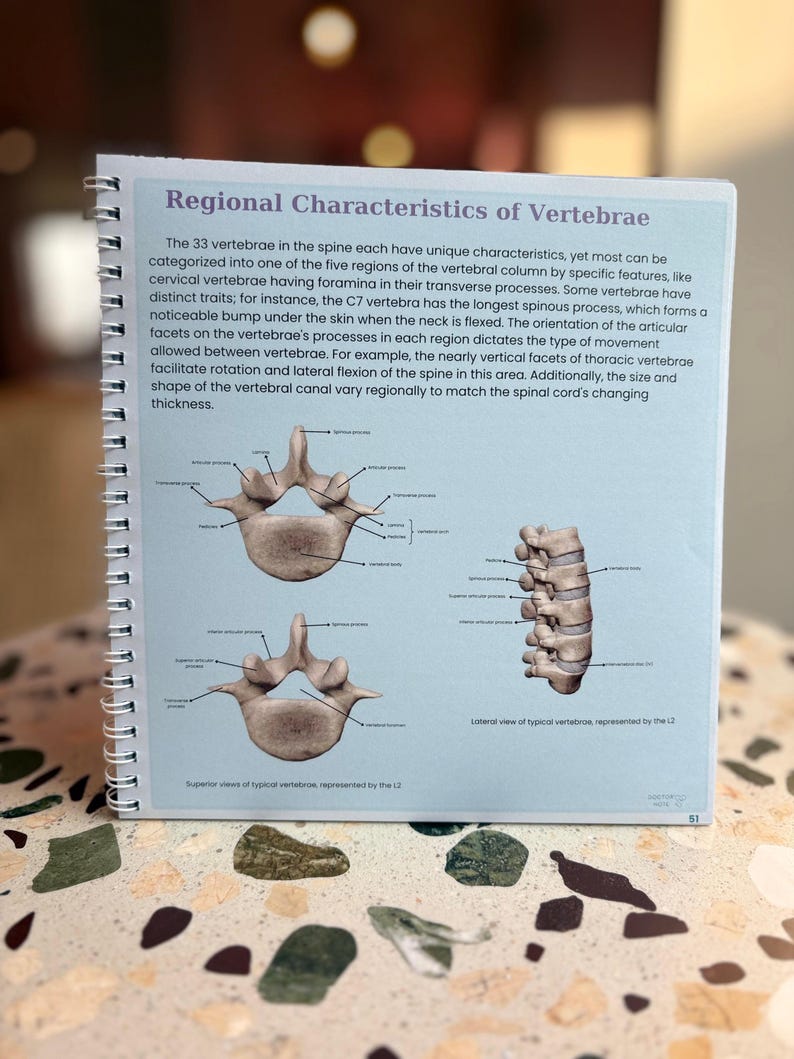 Skeletal System Anatomy Notebook | Medical and Nursing Study Guide ...