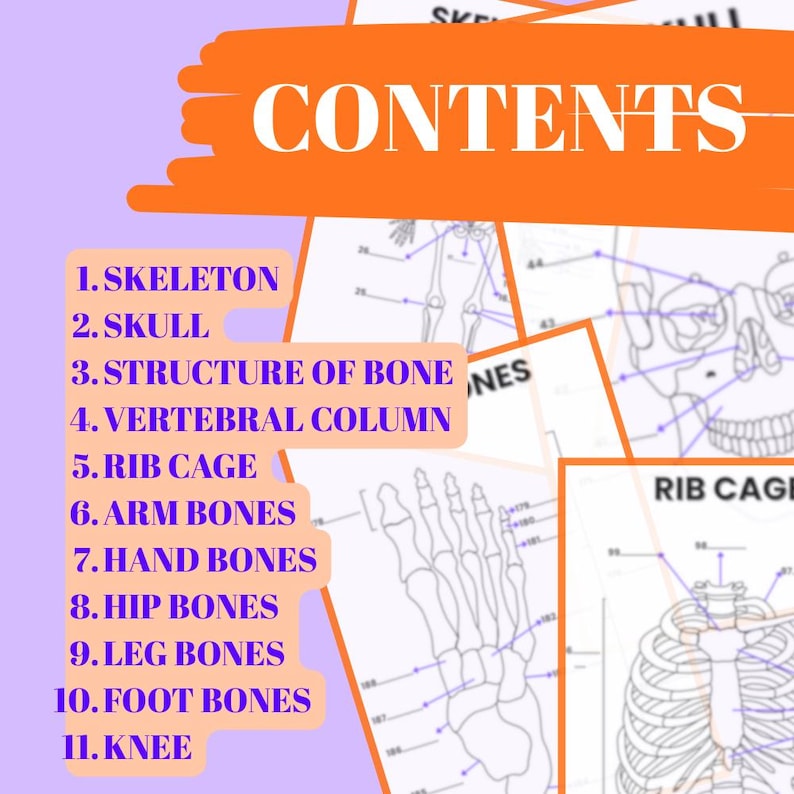 Skeletal System Anatomy Coloring Workbook for Nursing, Med School & Pre ...