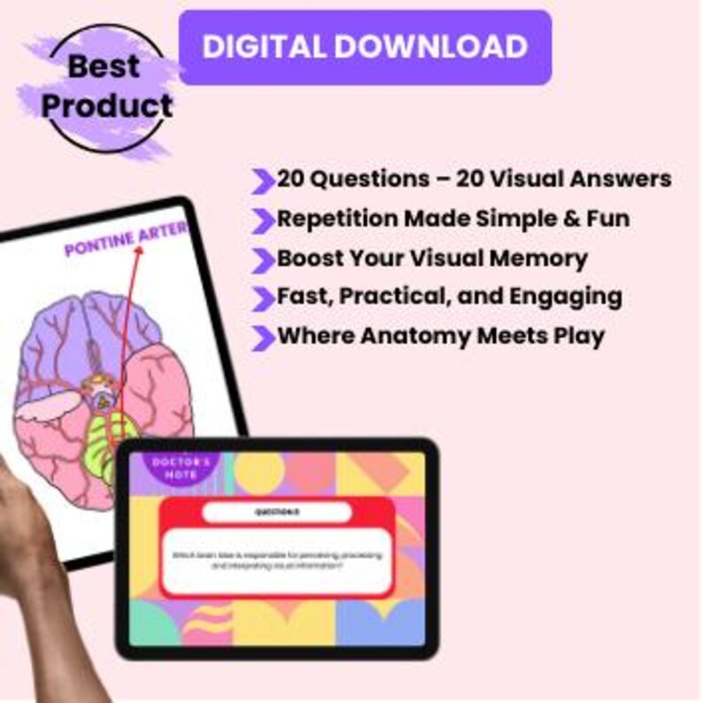Brain Anatomy Flashcards Game: Med Student Study Guide (PDF Download ...