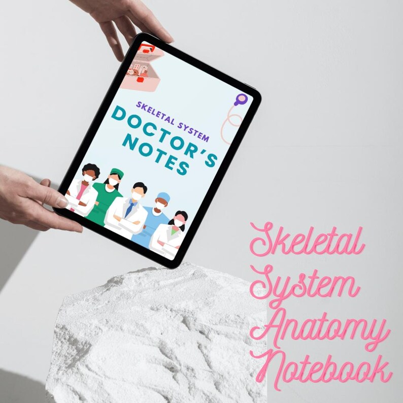 Complete Skeletal System Anatomy Study Guide| Notes&flashcards ...