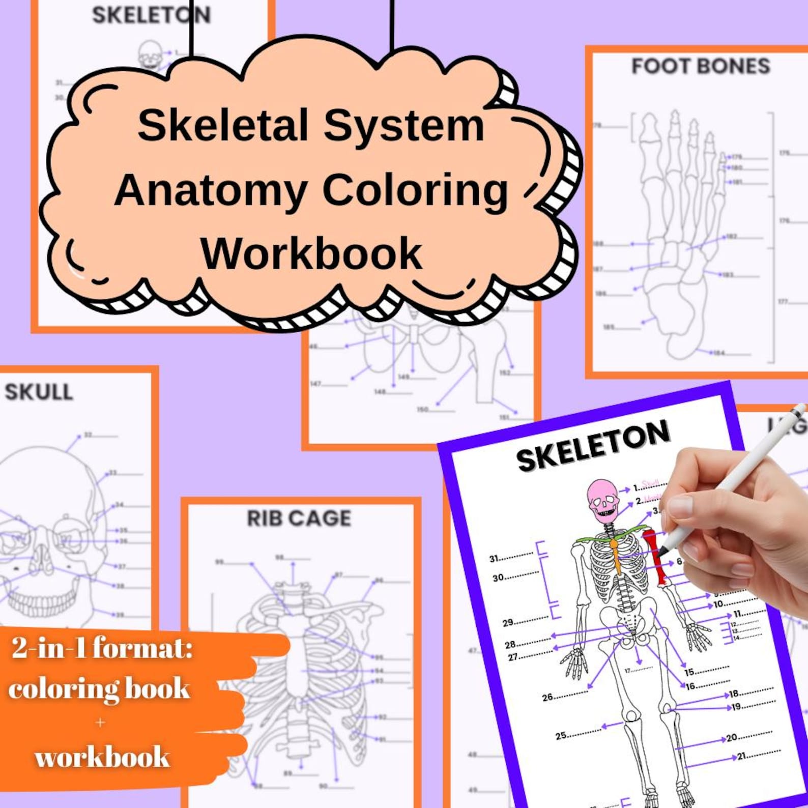 Skeletal System Anatomy Coloring Workbook for Nursing, Med School & Pre ...