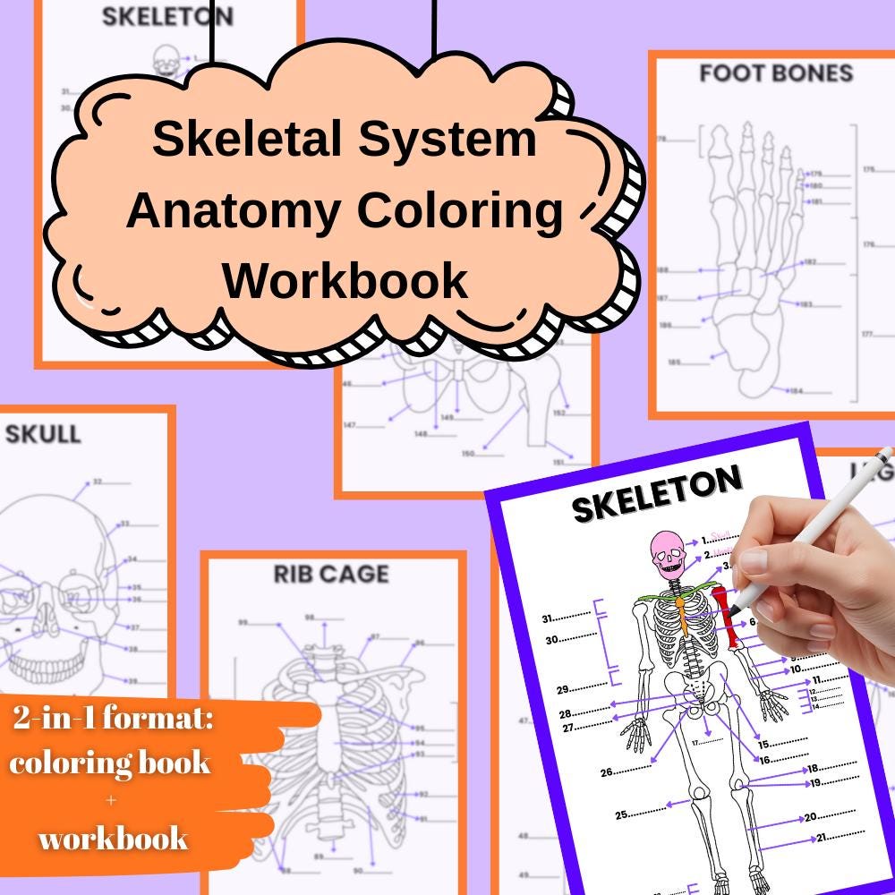 Skeletal System Anatomy Coloring Workbook for Nursing, Med School & Pre ...