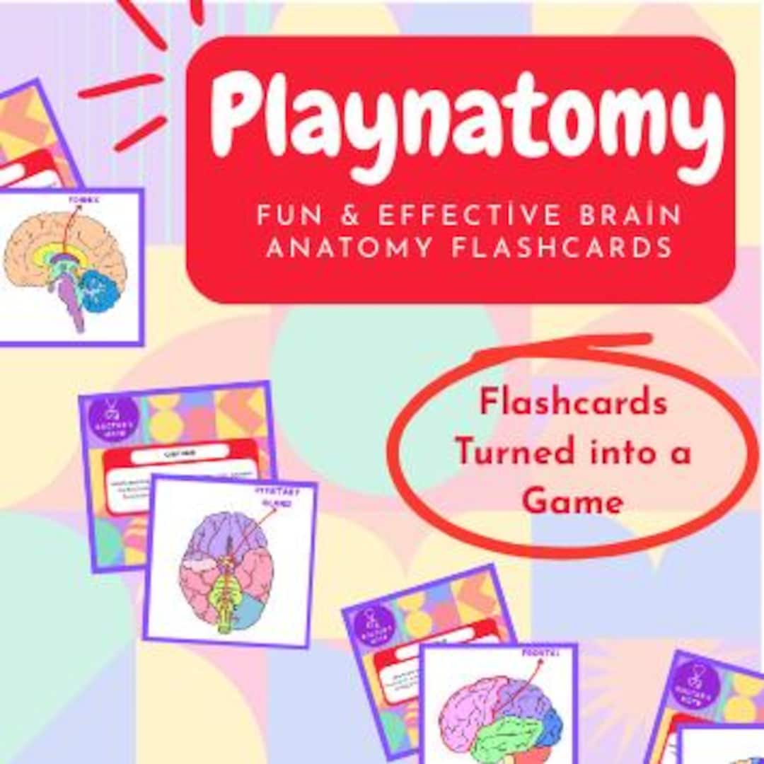 Brain Anatomy Flashcards Game: Med Student Study Guide (PDF Download ...