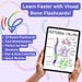 Bone Anatomy Flashcards – Complete Guide (PDF) - Etsy