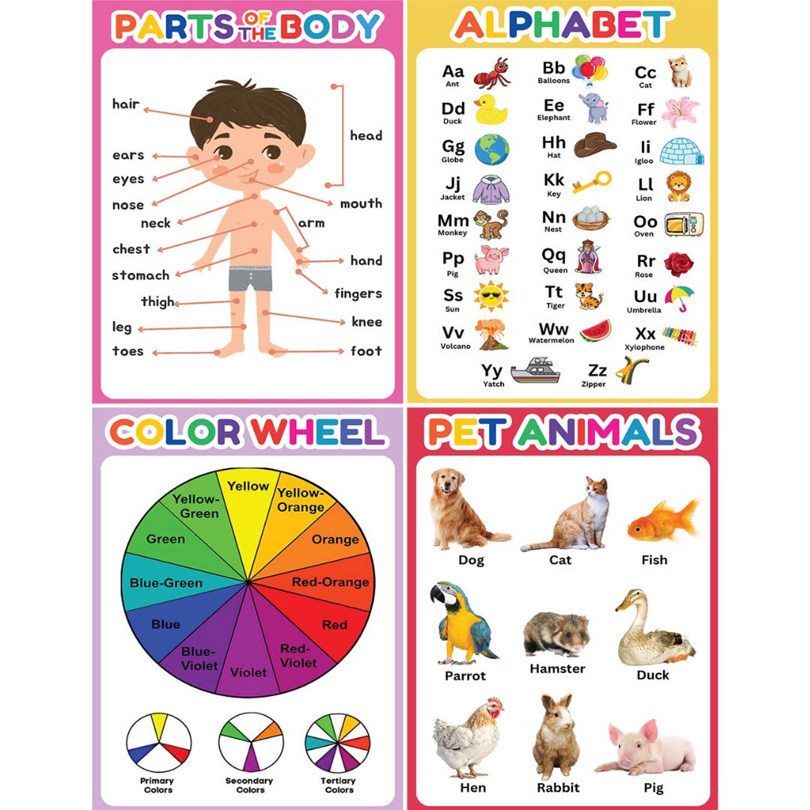 40+ Educational Kids Posters, Digital Posters , Kids Posters, Printable ...