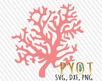 Coral Frame Cuttable Design PNG DXF SVG & Eps File for Silhouette Cameo ...