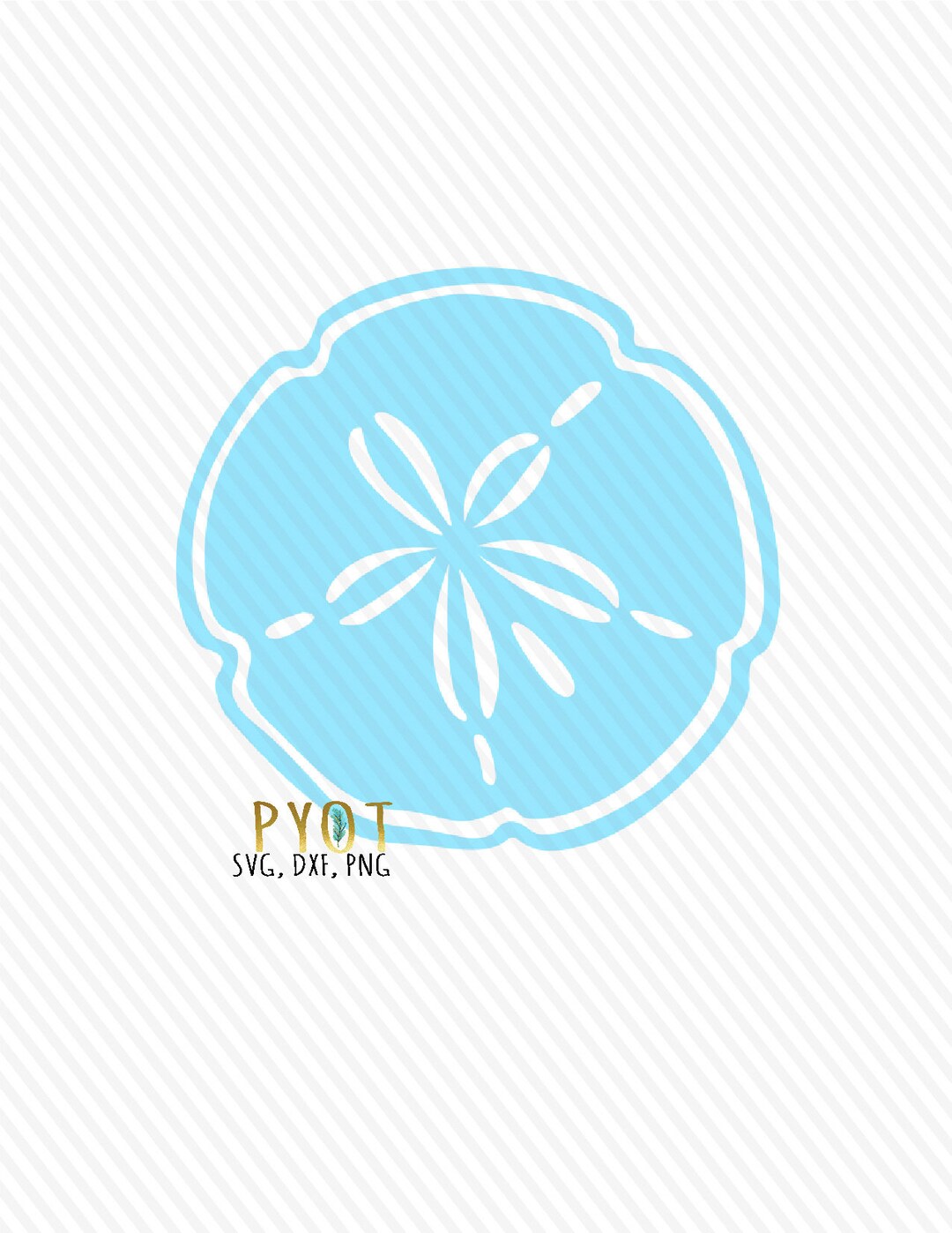 Sand Dollar SVG, DXF, PNG - Etsy