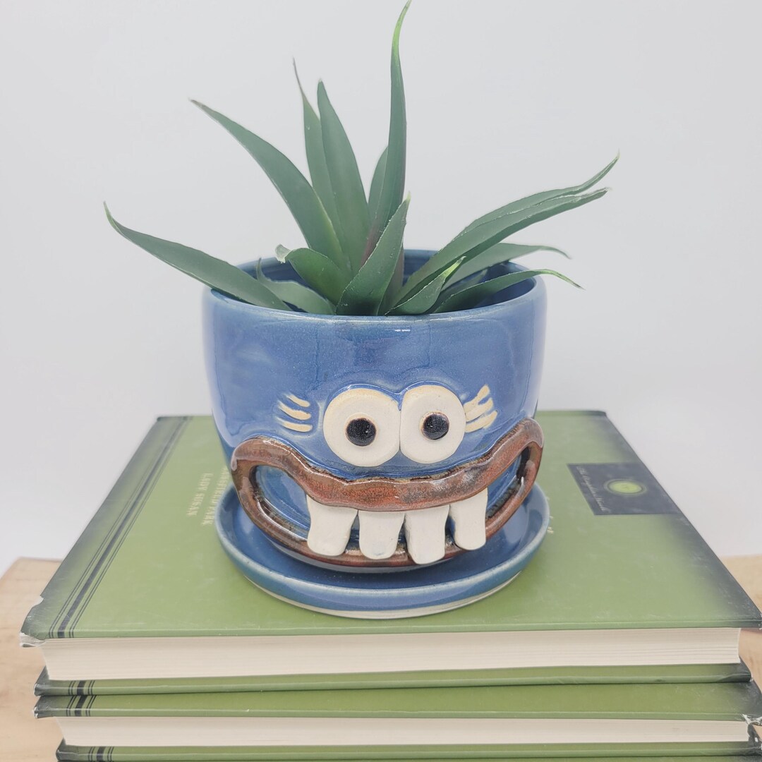Mother Gift Herb Planter. Herb Gardening. Fun Face Pots. Gifts for Mom ...