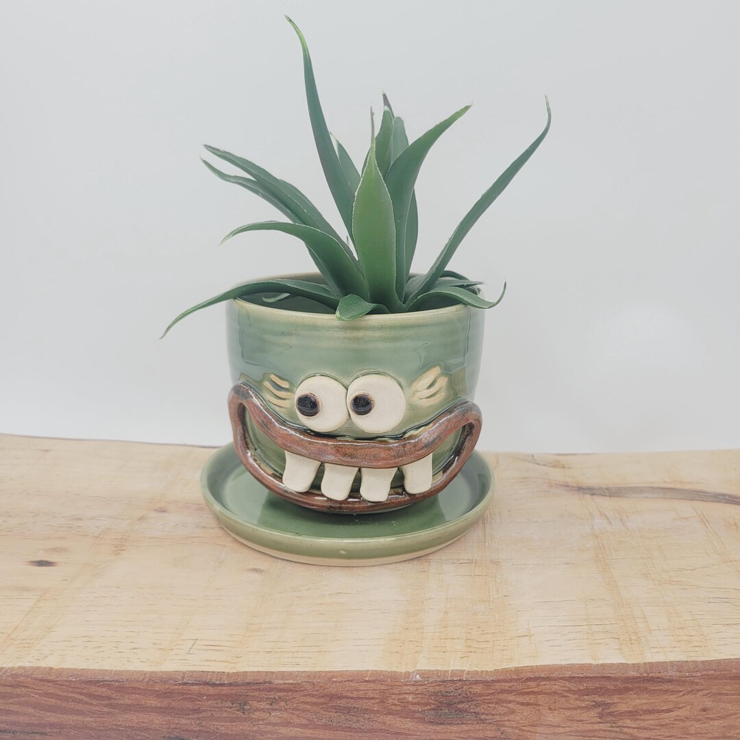 Succulent Planter. Cute Succulent Pot. Green Thumb Smiley Face ...