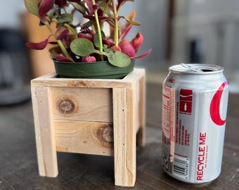 Set of 2 Miniature Cedar Wood Indoor or Outdoor Planter Boxes for Real ...