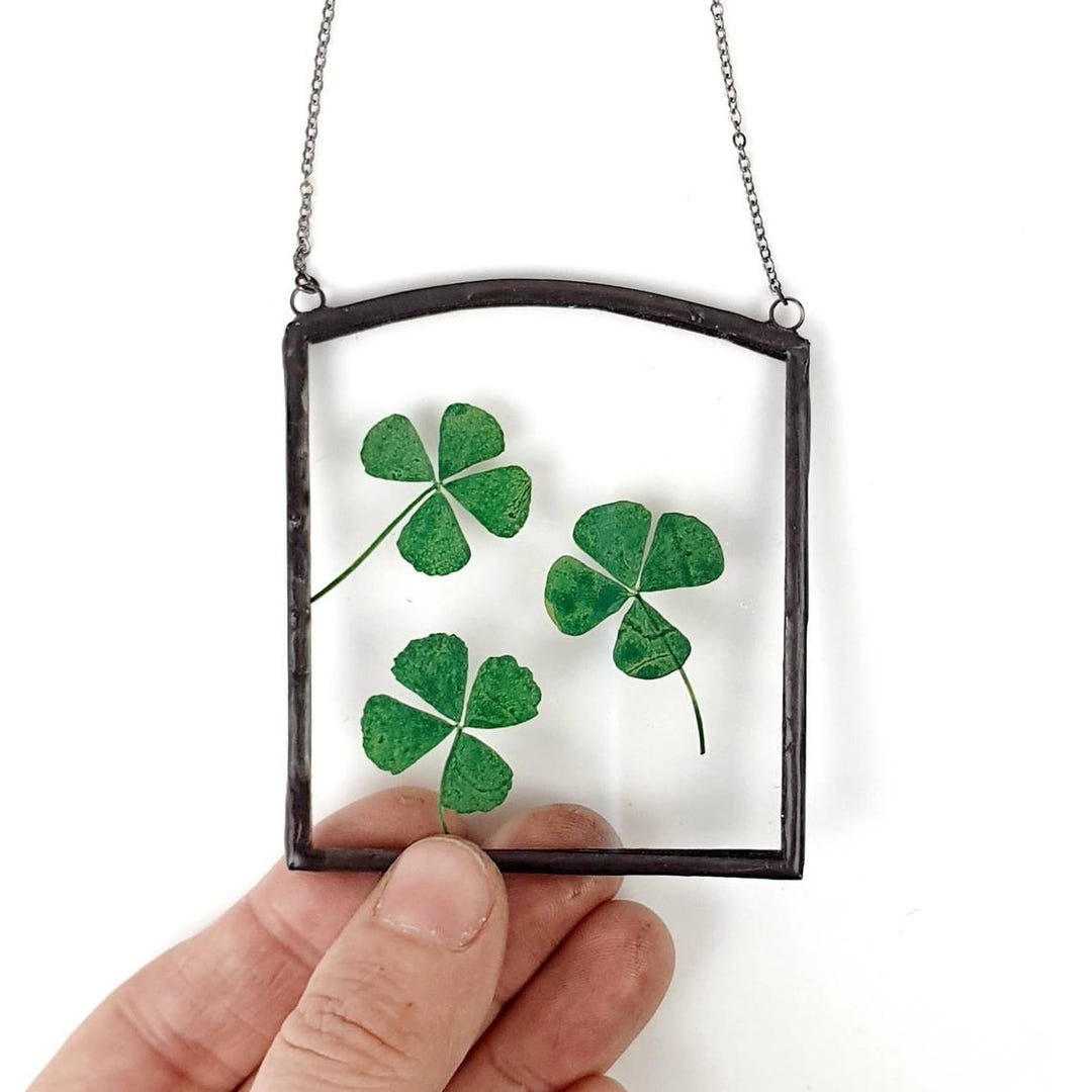 Pressed Clover Art: Stained Glass Floating Frame, Lucky Charm - Etsy