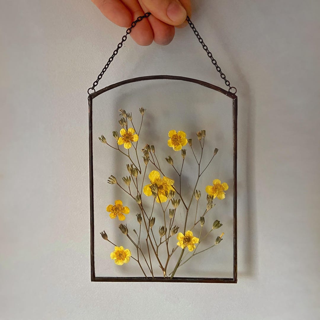 Pressed Buttercup Flower Frame: Botanical Art, Herbarium - Etsy