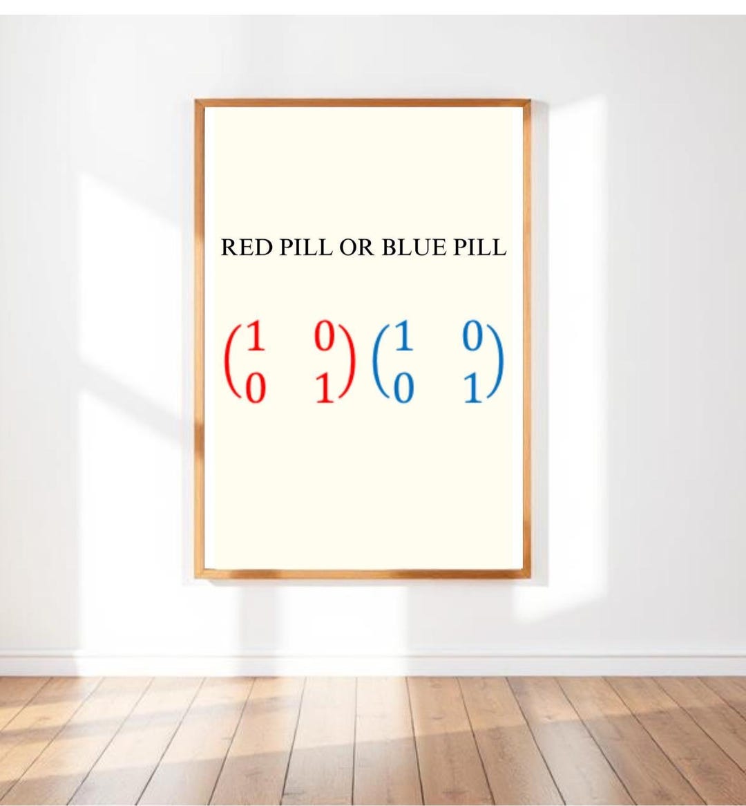 THE MATRIX Maths Print - Red Pill Blue Pill, Maths Poster, the Matrix ...