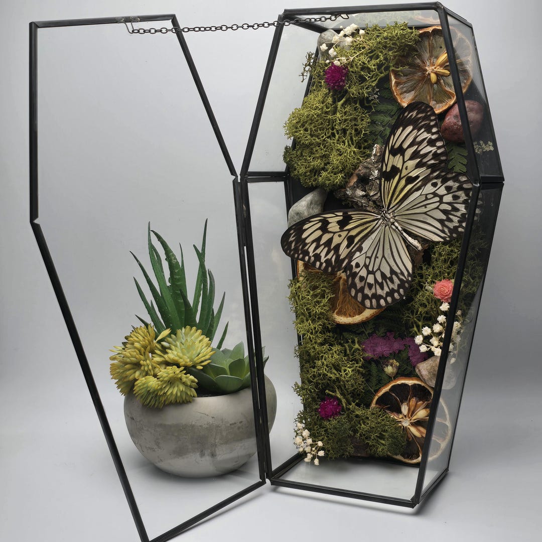 Paper Kite Butterfly Display: Coffin Case Insect Art, Entomology Gift ...