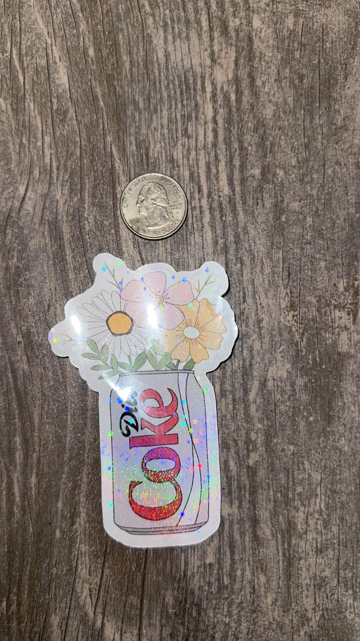 Diet Coke Lover Sticker - Etsy