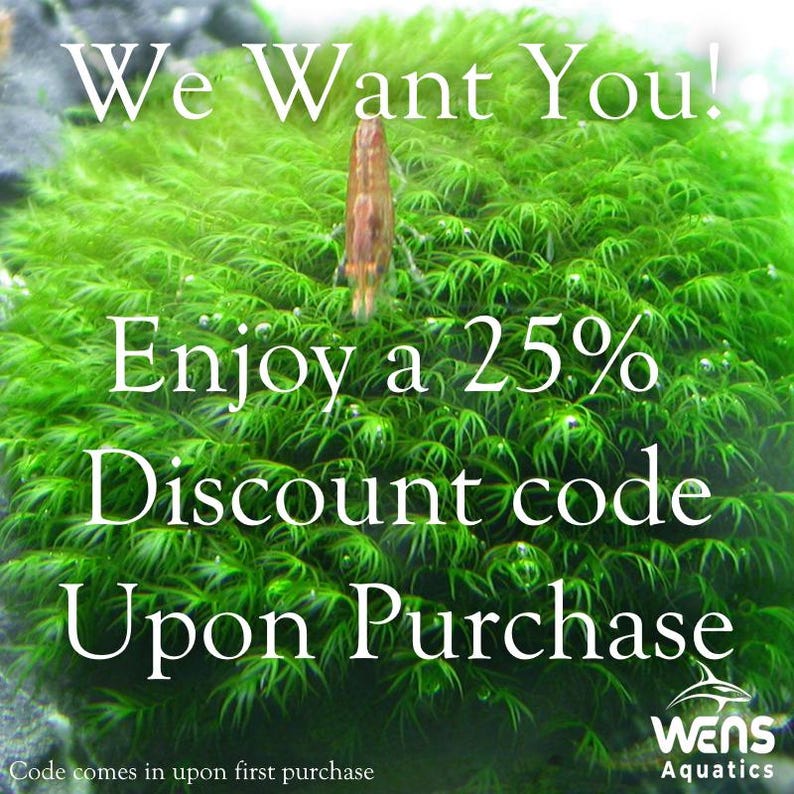 Aquarium Plant Stems 30 Stem Package Aquarium Plants Assorted Variety ...