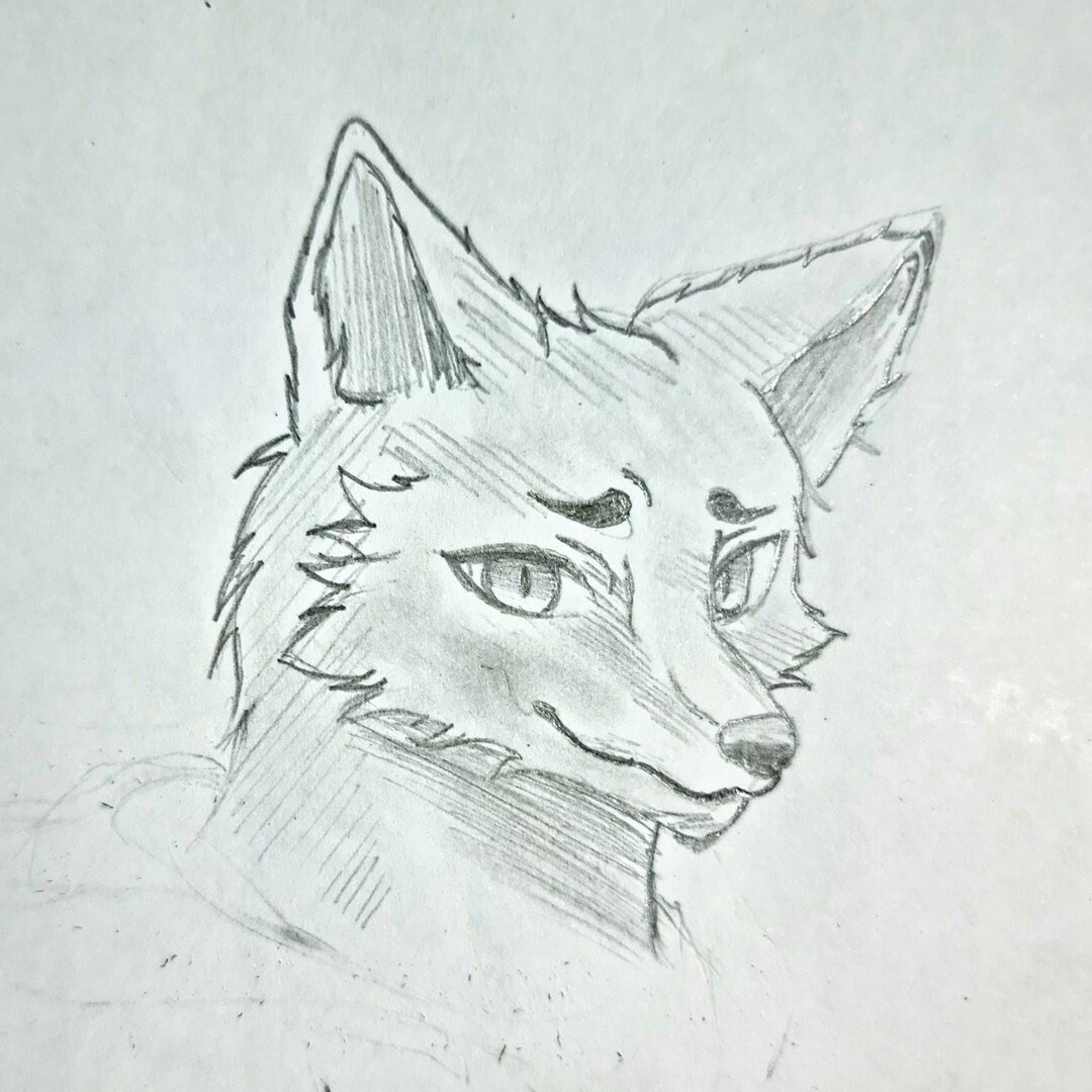 Custom Furry Portrait | Anime Style Headshot or Half Body (digital Art ...
