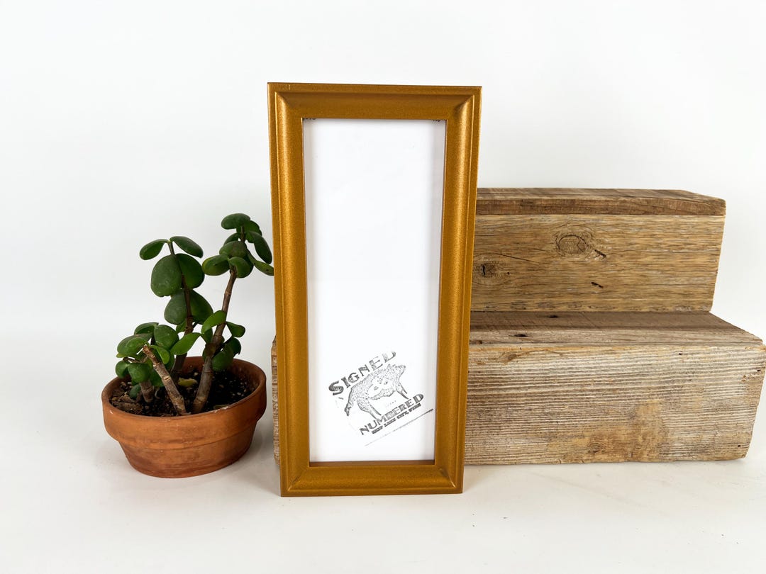SHIPS TODAY - 4x10" Picture Frame - Foxy Cove Style With Solid Roman ...