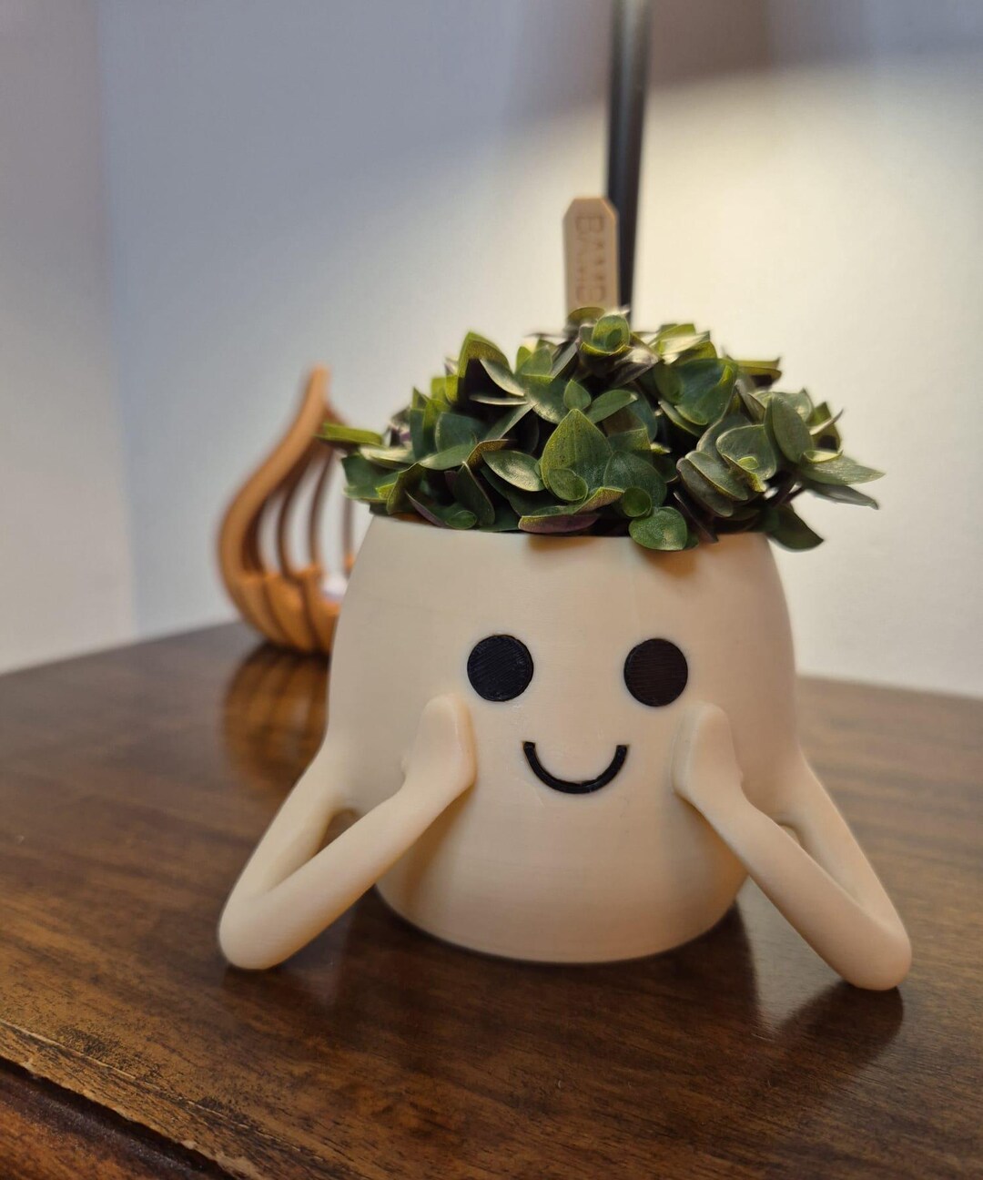 Resting Smiley Face Plant Pot, 3d Printed, Indoor Planter, - Etsy