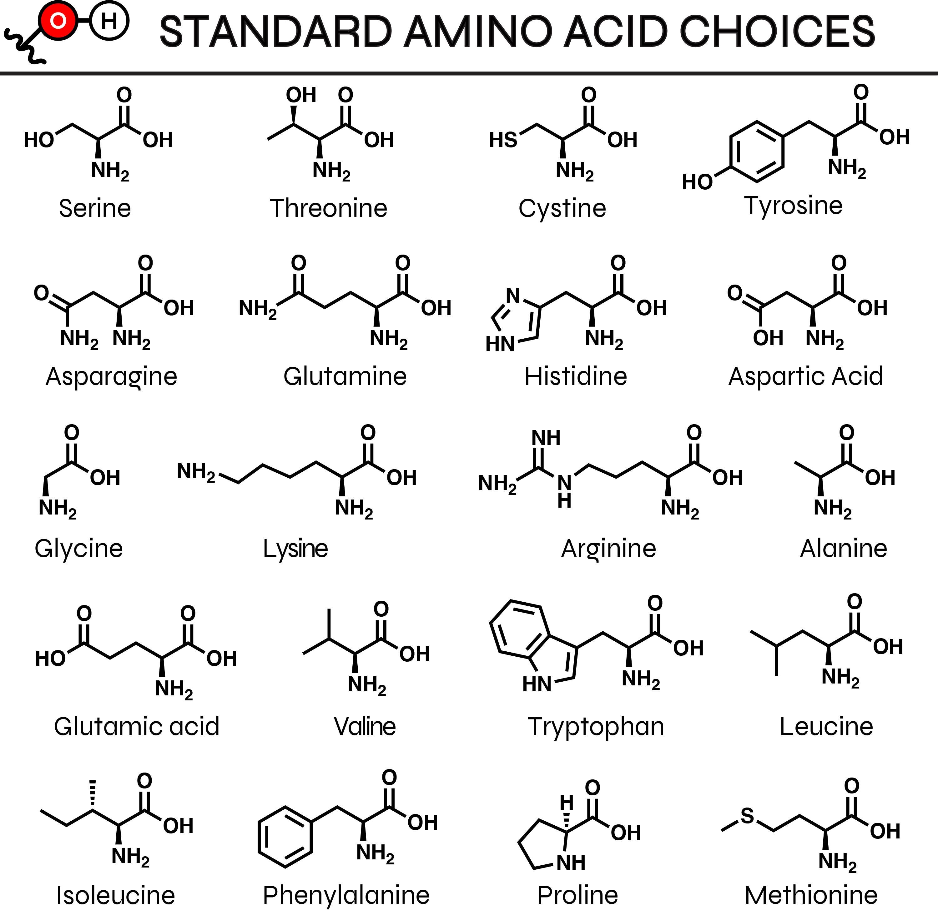 Custom 3D Printed Amino Acid Coasters Perfect Gift for Scientists ...